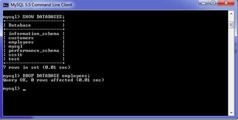 How To Delete A Database In Mysql Step By Step 2024 Guide