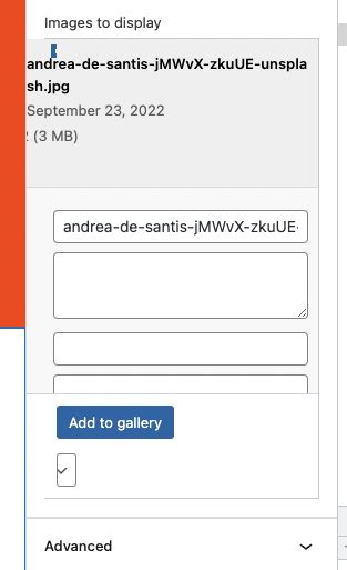 Gallery Field Broken For Blocks ACF Support