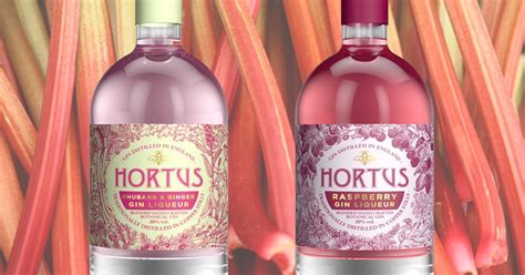 Lidl Adds Rhubarb And Raspberry Flavoured Gin To Christmas Booze Lidl Adds Rhubarb And Raspberry Flavoured Gin To Christmas Booze