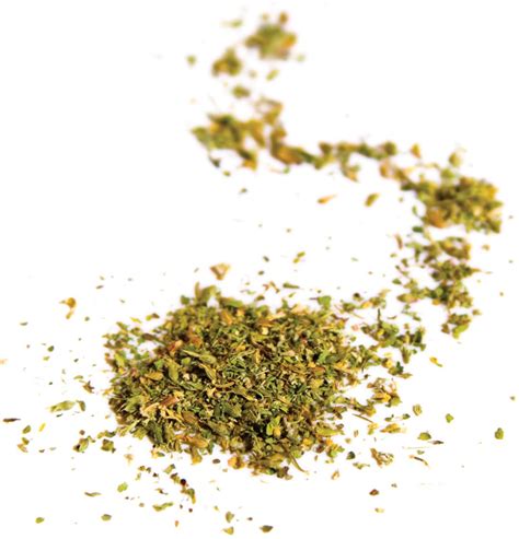 Enrichment For Cats How To Use Scent To Engage Your Cat Modern Cat