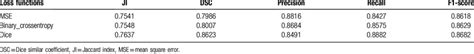 Segmentation Performance Comparison Among Different Loss Functions