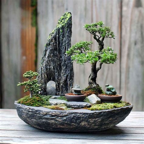 10 Inspiring Bonsai Garden Ideas For Your Home Or Patio