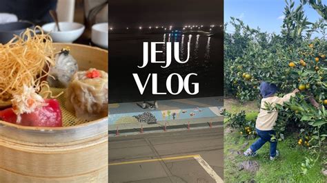 제주 Vlog L 아이와 감귤따기 체험하고 함덕 호캉스 맛집 탐방을 즐겨 보았어요 Youtube