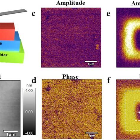 Relaxation Of Electric Field Induced Ferroelectric Polarization In Download Scientific Diagram