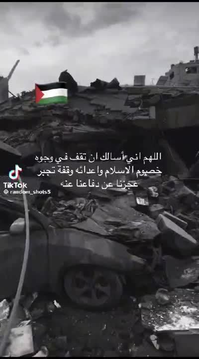 Mohammed Helmi Posted On Linkedin