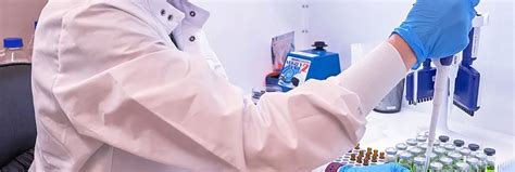 Identifying Female Cannabis Seeds Tips For Cultivators To Enhance Yield And Quality