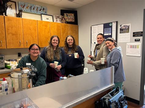 Colorado State University Veterinary Teaching Hospital Tesss