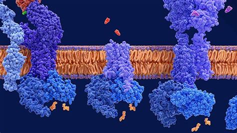 Reagents Revvity