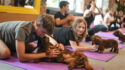 Unique Yoga Experiences Include Goats Or Puppies Use Paddleboards