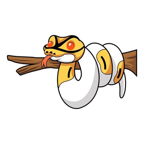 Premium Vector Cute Albino Pied Ball Python Cartoon On Tree Branch