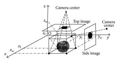 The Illustration Of Bounding Box Construction Download Scientific Diagram