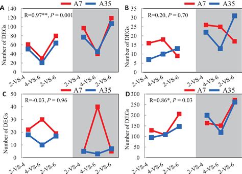 Comparative Transcriptome Analysis During Seeds Development Between Two