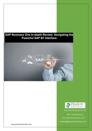 SAP Business One In Depth Review Navigating The Powerful SAP B Interface PDF