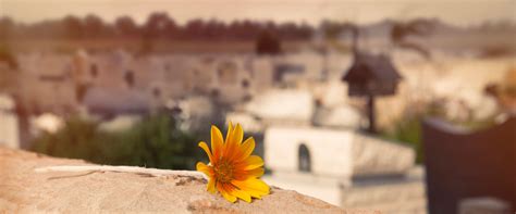 Passover 2026 2027 And 2028 Il