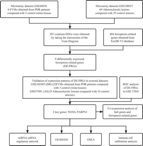 Flowchart Of The Bioinformatics Analysis Download Scientific Diagram