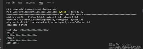 python之pytest python pytest csdn博客