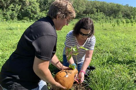 Iiceiicah2025 Joins Hawai‘i Convention Centers Carbon Offset Program