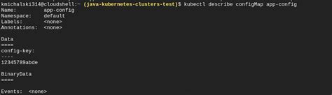 Kubernetes Passing Params Via Configmap To Spring Boot Application In