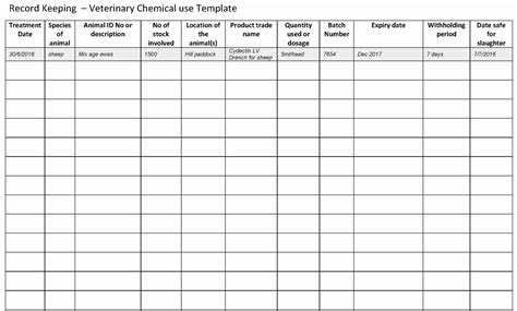 Excel Tax Template