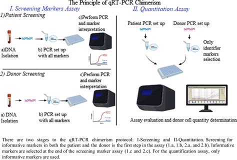 Quantitative Real Time Pcr Chimerism Assay Download Scientific Diagram