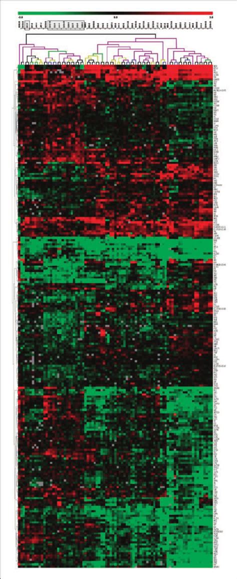 Hierarchical Clustering Of 44 Samples Of The Training And Validation