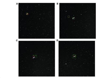 Visualisation Of Tracking Results For Selected Video Sequences A Download Scientific Diagram
