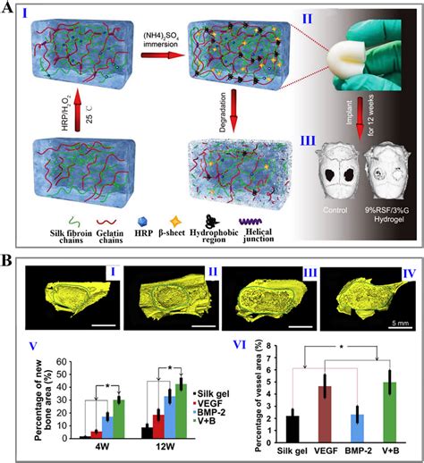 A I Schematic Of The Preparation Of Double‐cross‐linked Silk