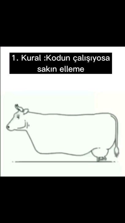 yazılım motivasyon teknoloji yazilim sayfasi instagram photos