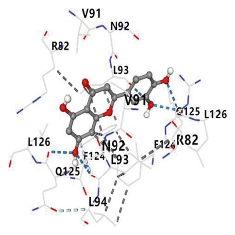 Binding Mode And A 2d Interaction Map Of Compounds With Core Targets