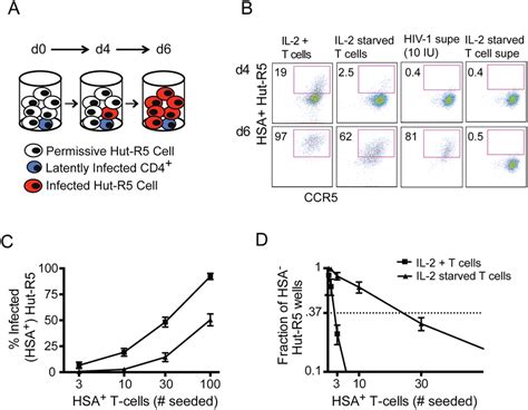 Persistent Production Of Hiv 1 From Latently Infected T Cells A