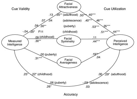 cue validity cue utilization and accuracy in judging intelligence