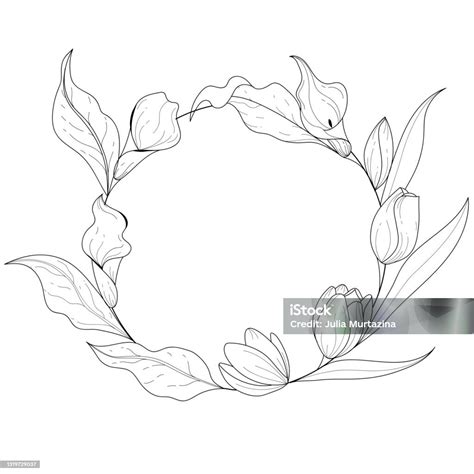 식물 학적 그림 꽃 화환 튤립과 칼라 흑백 꽃꽂이 흰색 배경에 꽃 선형 아트의 손 그림을 스케치합니다 벡터 일러스트레이션 0명에 대한 스톡 벡터 아트 및 기타 이미지