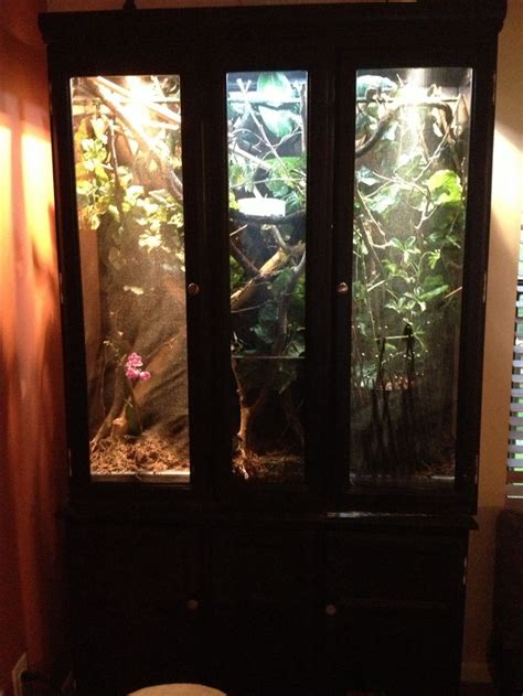 23 Best Diy Reptile Cages Enclosures Images On Pinterest