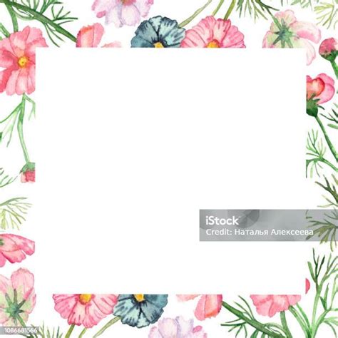 수채화 프레임 섬세 한 핑크 라일락 파랑 꽃 녹색 흰색 배경에 고립 떨어지는 꽃잎과 바늘 잎 줄기에 계절에 대한 스톡 벡터 아트 및 기타 이미지 Istock