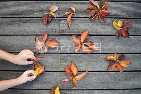 가을 미술 활동으로 인내심을 길러보세요