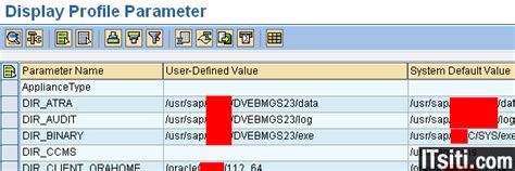 Find Active Parameter In Sap