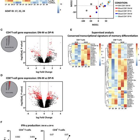 Generation And Maintenance Of Resident Memory T Cell Subsets