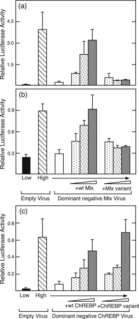 The Loop Region Of Mlx Is Critical For Functional Activity A Mlx Download Scientific Diagram