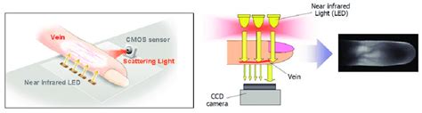 finger vein acquisition principle [19] download scientific diagram