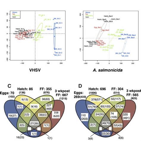 Global Analysis Of Microarray Data A Principal Component Analysis