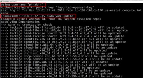 Setting Up SQL Server On Red Hat Linux In AWS Part