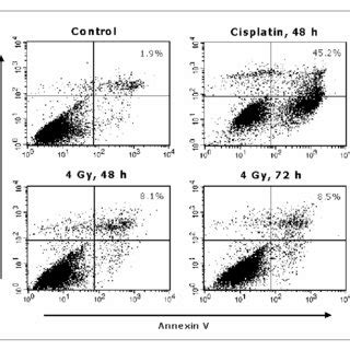 Representative Flow Cytometry Plots Of Hct Cells Stained With