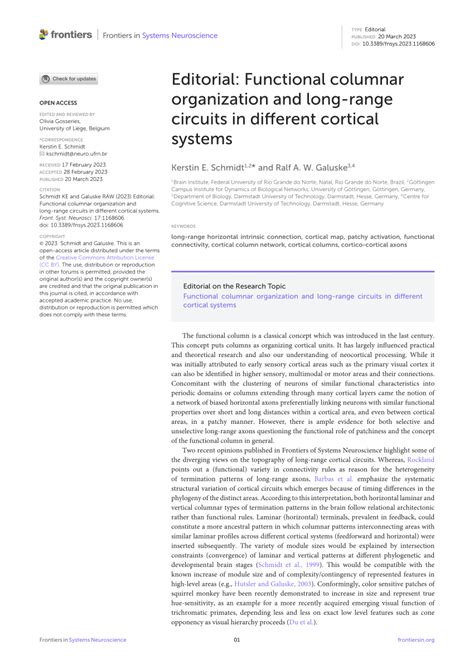 Pdf Editorial Functional Columnar Organization And Long Range Circuits In Different Cortical