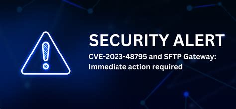 Cve 2025 48795 Lori J Hinerman