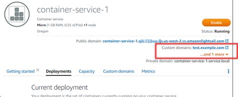 Enable Secure Web Access With Custom Domains In Lightsail Amazon