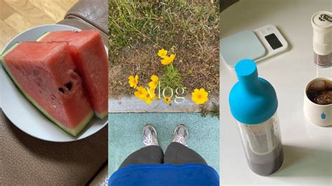 Vlog 남자자취생일상브이로그 직접 블루보틀 콜드브루 내려먹기 본가내려가서 힐링하기 대전가서 진돌이 산책시키고 맛있는 빵먹는 일상 감성챙기다만 먹방브이로그🥶