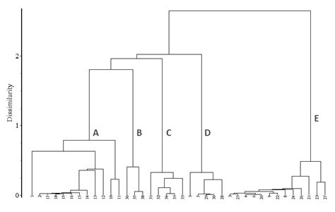 dendrogram of the numerical classification of the ruderal communities