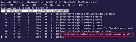 使用 python 自定义 apisix 插件 python abstractmethod