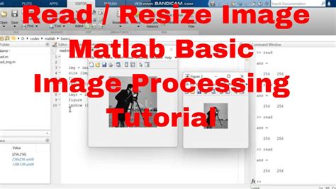 Matlab Image Processing Tutorial For Beginners Read And Resize Image In Matlab Code YouTube