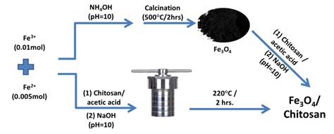 A Single Rapid Route Synthesis Of Magnetite Chitosan Nanocomposite